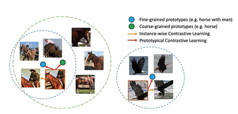 【論文メモ】prototypical Contrastive Learning Of Unsupervised Representations