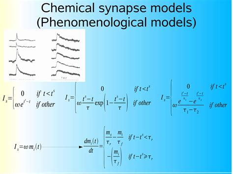 Introduction To Modern Methods And Tools For Biologically Plausible Modelling Of Neural