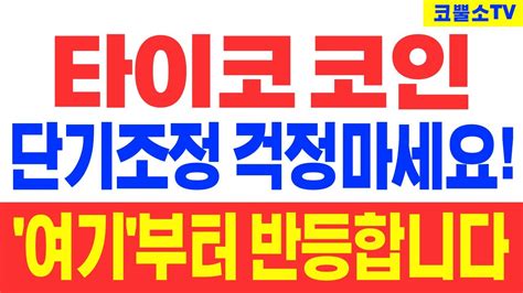 타이코 코인 단기조정 걱정마세요 여기부터 반등합니다 Youtube