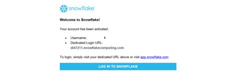 A Guide To Snowflake Odbc Connection Strings And Parameters