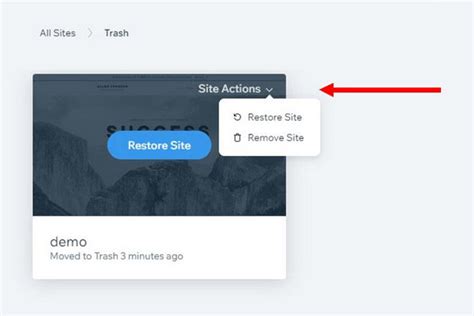 How To Delete Or Unpublish A Wix Website Step By Step Guide Theme