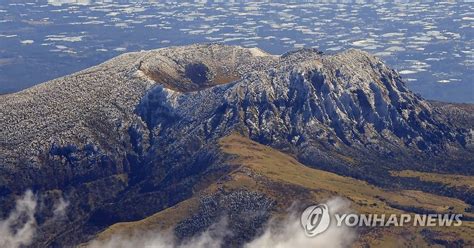 한라산 비바리뱀 등 멸종위기 동·식물 28종 서식 확인