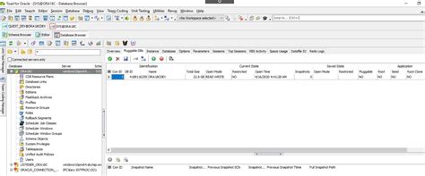 How To Monitor Database Activity With The Toad® Database Browser Utility