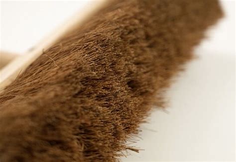 Bristlecoirfiberbroom Shehan Amarasinghe