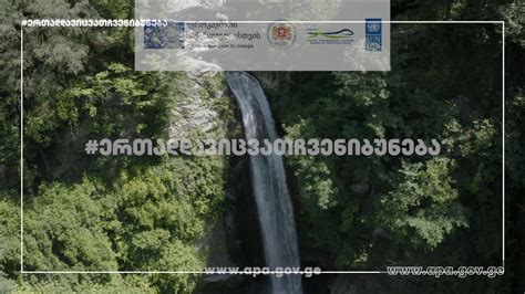 გარემოს დაცვისა და ბუნებრივი რესურსების კომიტეტი ჯანსაღი და სუფთა გარემო ჩვენი და ჩვენი