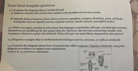 12 1 Examine The Diagram Shown Withheld And A