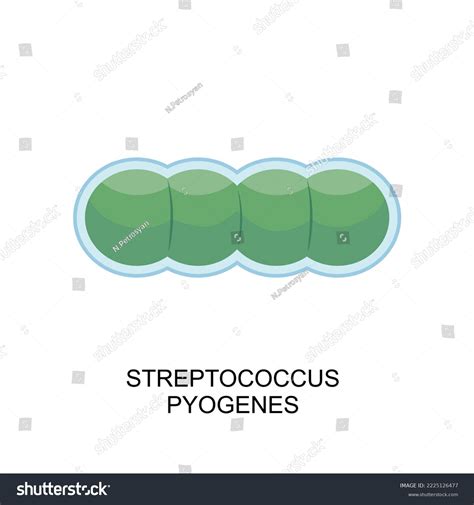 Streptococcus Pyogenes Icon Streptococcus Bacterium Flat Stock Vector
