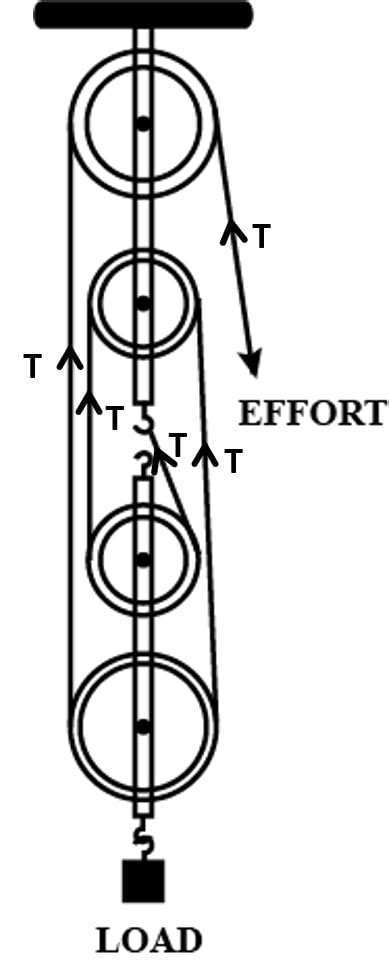 Draw A Labelled Diagram Of A Block And Tackle System