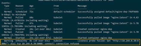 Mastering Kubernetes Liveness Probes With Practical Examples