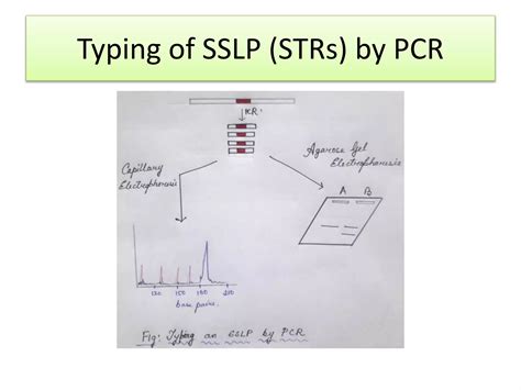 Gene Mapping Methods Pptx