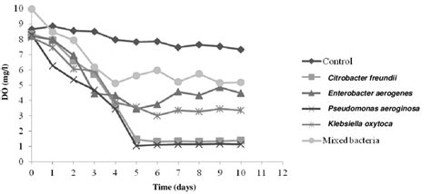 Dissolved Oxygen In Cyanobacteria Medium Inoculated With Bacteria And