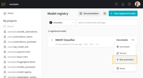 Bug Report Broken Images Automationsdemo Weights And Biases