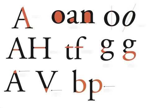 Vertex Anatomy Online Usa