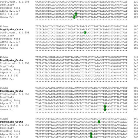 Alignment Of The Partial S Gene Sequences The Sequences Shown Are