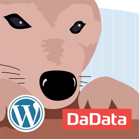 Как добавить всплывающие подсказки Dadata к Wordpress на Woocommerce