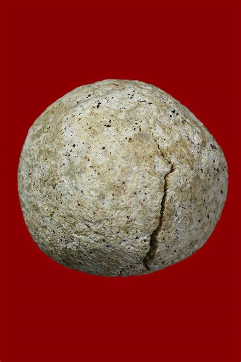 ลูกอมหลวงปู่จันทร์ วัดโฉลกหลํา พระเครื่องรางหลวงปู่พริ้ง วัดบางปะกอก พระผงกระดูกผี วัด