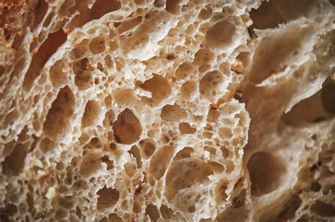 Organic Sourdough Bread Crumb Stock Image Image Of Breadcrumbs Closeup 280510015