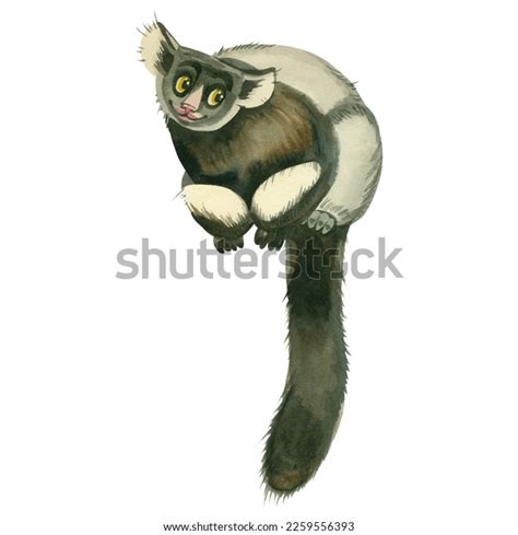 Gibon лицензируемые стоковые иллюстрации и рисунки без лицензионных платежей роялти в
