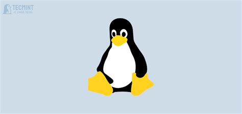 Best Linux Server Distributions Of