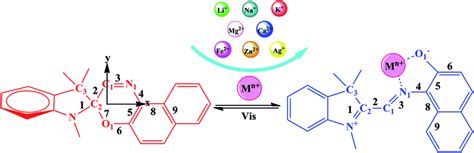 Equilibrium Between The Spiropyran Form And The Cation Complexed Download Scientific Diagram