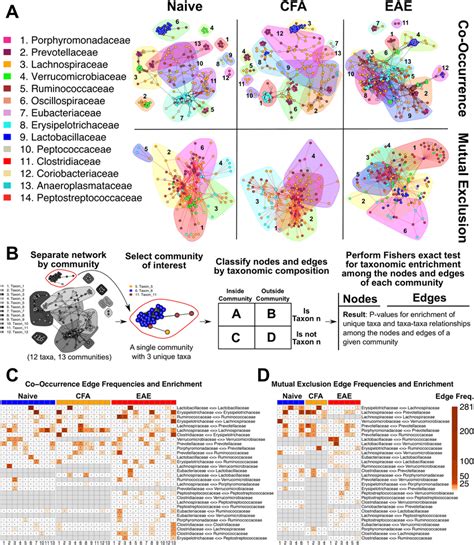 Co Occurrence Network Analysis With The Reboot Algorithm Reveals Novel