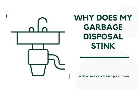Why Does My Garbage Disposal Clog At Nicholas Warrior Blog