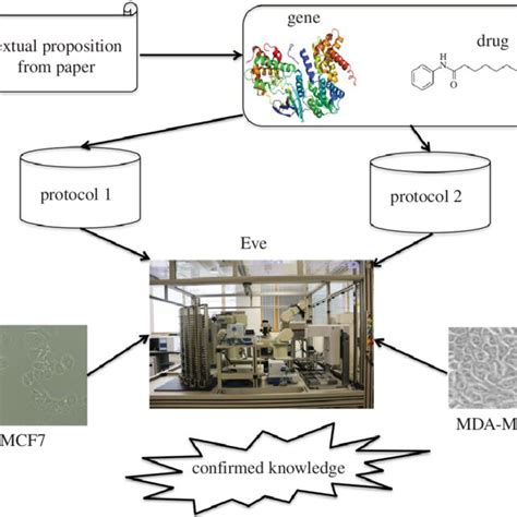 the overall process of testing the reproducibility and robustness of