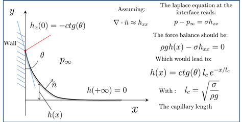 41 Questions With Answers In Meniscus Science Topic