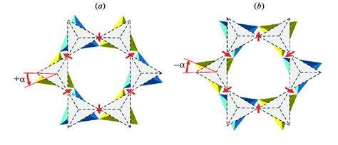 Ditrigonal Rotation Of Tetrahedra In An Ideal Six Membered Tetrahedral Download Scientific