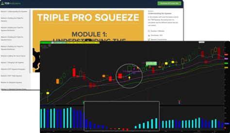 Thinkorswim Indicators Scans And Strategies Tos Indicators