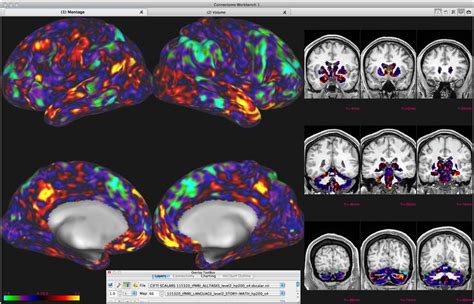 Connectome Workbench Human Connectome Project Protected Health Information Brain Mapping
