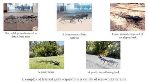 Real World Training On The Double A New Method Rapidly Trains Robots In The Real World Ai
