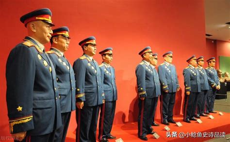 九龍衍派 雙鶴入雲 林姓開國將帥獲元帥大將上將中將少將軍銜者名錄 每日頭條