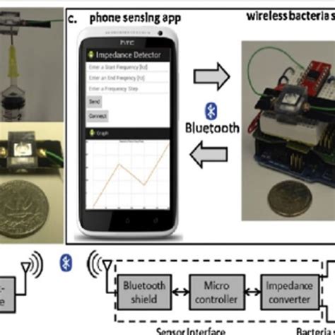 Pictorial Illustration Of Smartphone Based Electrochemical Biosensor