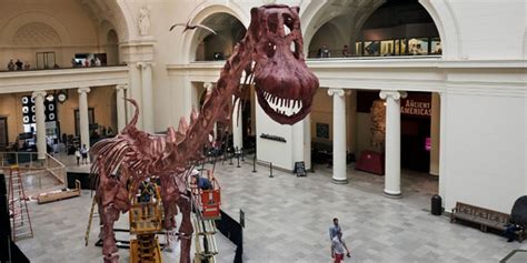 Field Maximo Pmgma Inc