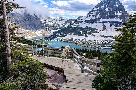 Logan Pass Worldatlas