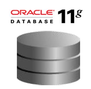 Oracle Database 11g Logo