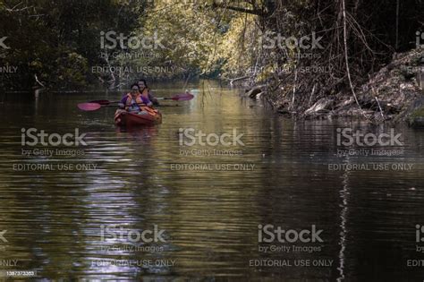 숲속의 시내에서 빨간 카약을 타면서 함께 즐거운 시간을 보내는 두 젊은 여성 경관에 대한 스톡 사진 및 기타 이미지 경관 관광객 구명 조끼 Istock