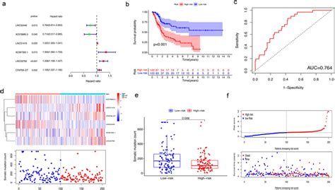 Evaluation Of The Genomic Instability Related Lncrna Signature