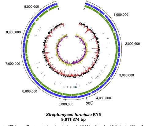 Figure 1 From Complete Genome Sequence Of Streptomyces Formicae Ky5