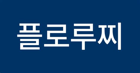 언더싱크 정수기·석회수 필터 전문 플로루찌 Flowrucci