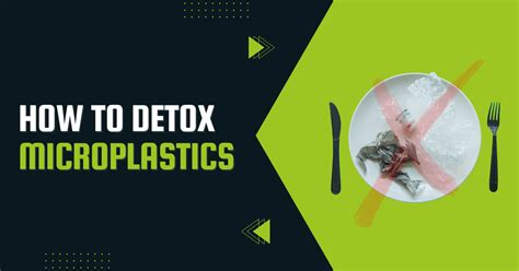 How To Remove Microplastics From Your Body Sustainable Food Trade Association Sustainable