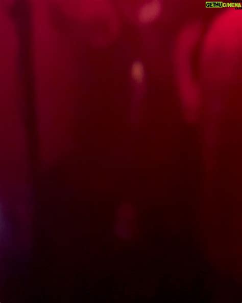 Actress Mishel Prada Hd Photos And Wallpapers March 2025 Gethu Cinema