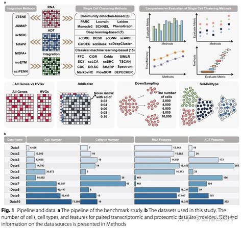 Genome Biology｜聚类用哪种方法好？单细胞转录组与蛋白质组数据的聚类分析测评 知乎