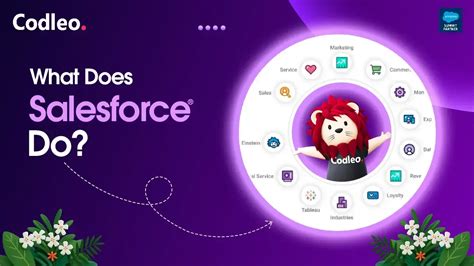 Salesforce Partnership Levels Types And Comparison