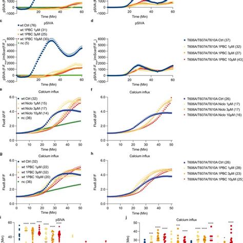 Identification Of Three Distinct States In Drug Free Tmem16f A Gaussian