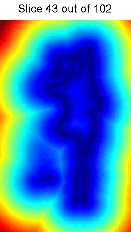 Volumetric Euclidean Distance Field Three Slices Zconst Of The Download Scientific Diagram