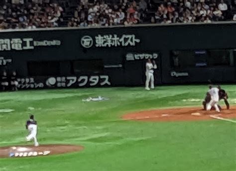 華々しくも 野球バカの独り言