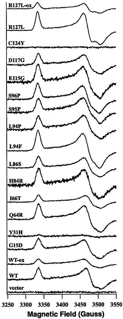 Epr Spectra Of Soxr [2fe 2s] Centers In Intact Cells Bl21 De3 Cells Download Scientific