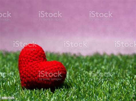 녹색 잔디 배경에 붉은 사 수 제 마음은 로얄 핑크 텍스트 발렌타인 사랑 개념에 대 한 공간을 복사 하 고 사랑 하는 배경 0명에 대한 스톡 사진 및 기타 이미지 Istock